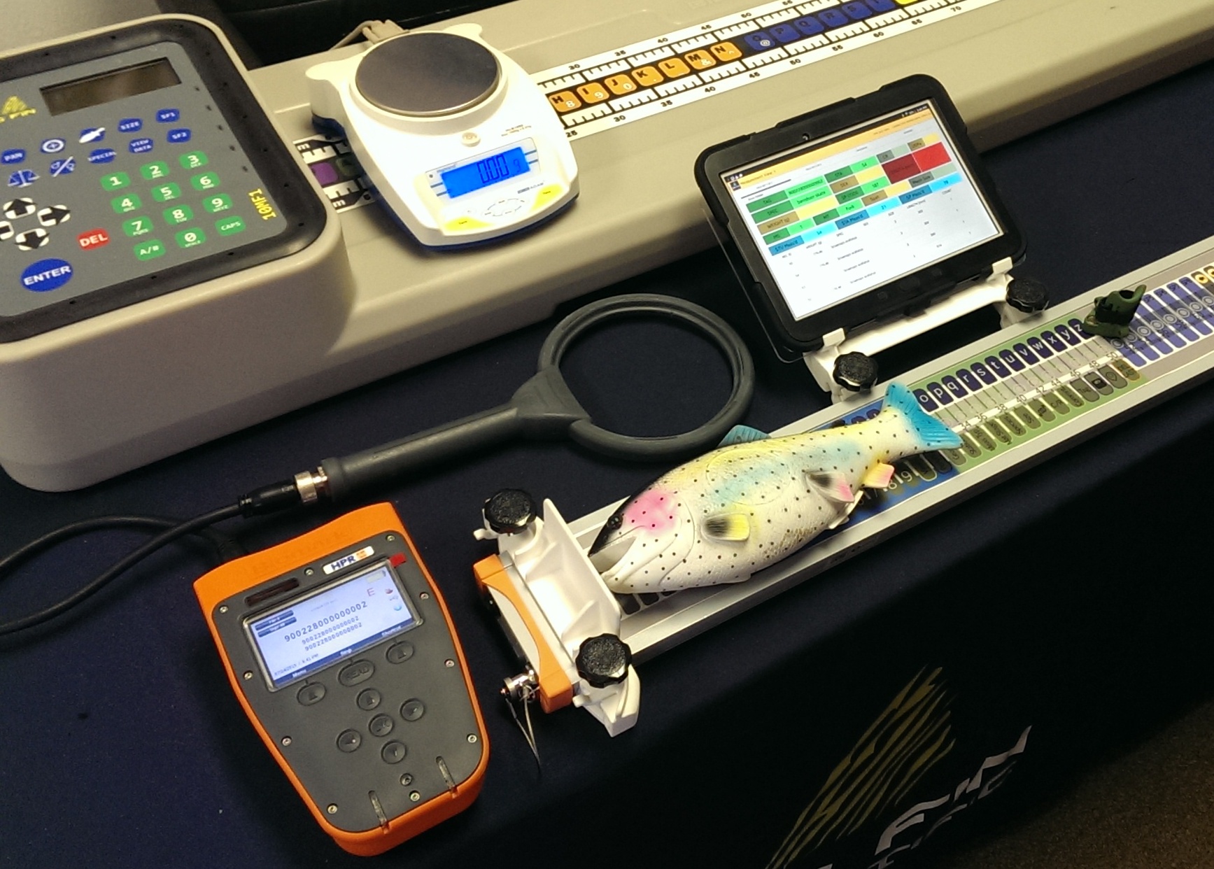 Big Fin Scientific – The Leaders in Fish & Field Data Collection